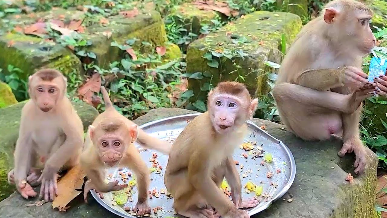 Libby Jimmy Carlo Rojo are partying. - YouTube