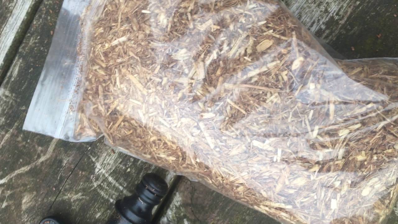 SETTING UP A WORMERY - STAGE 2 - YouTube