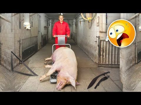 HIZLI ÇALIŞAN SÜPER İŞÇİLER | İnanılma Seviyedeki Ustalar 💪🔨