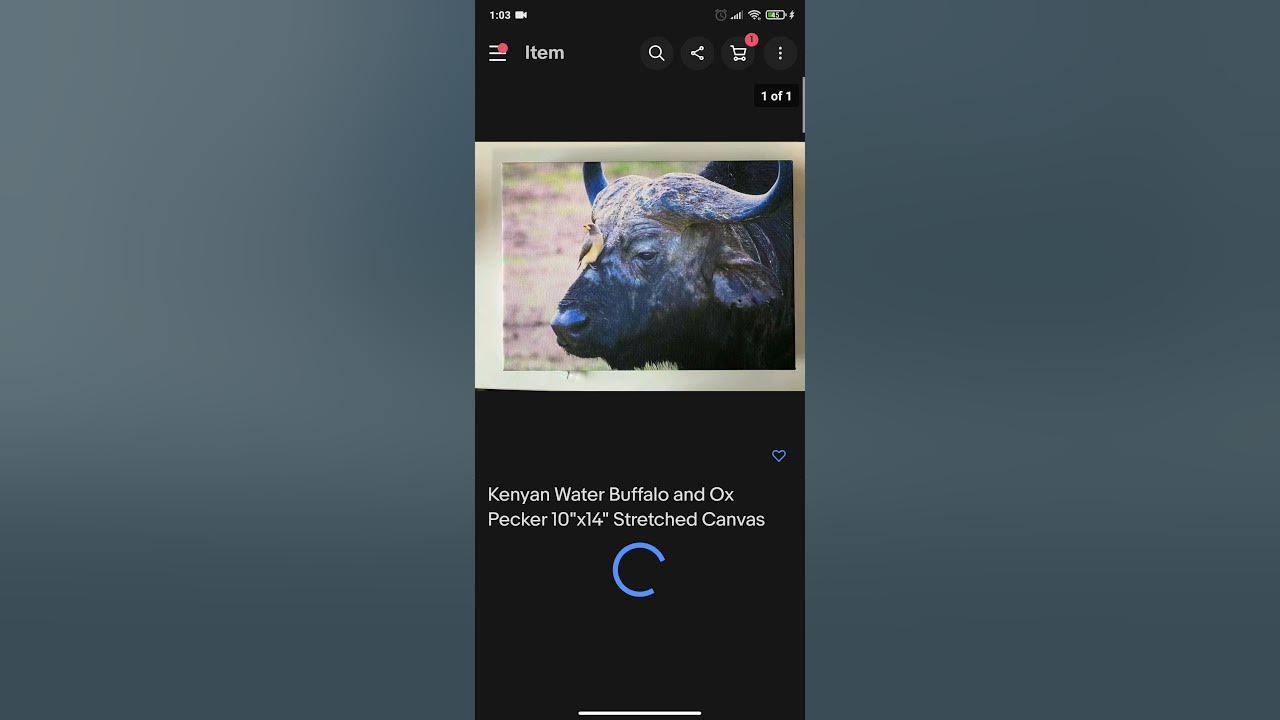 How To Cancel Retract A Bid On An Ebay Auction On A Phone Andoird IOS how-to-cancel-retract-a-bid-on-an-ebay-auction-on-a-phone-andoird-ios