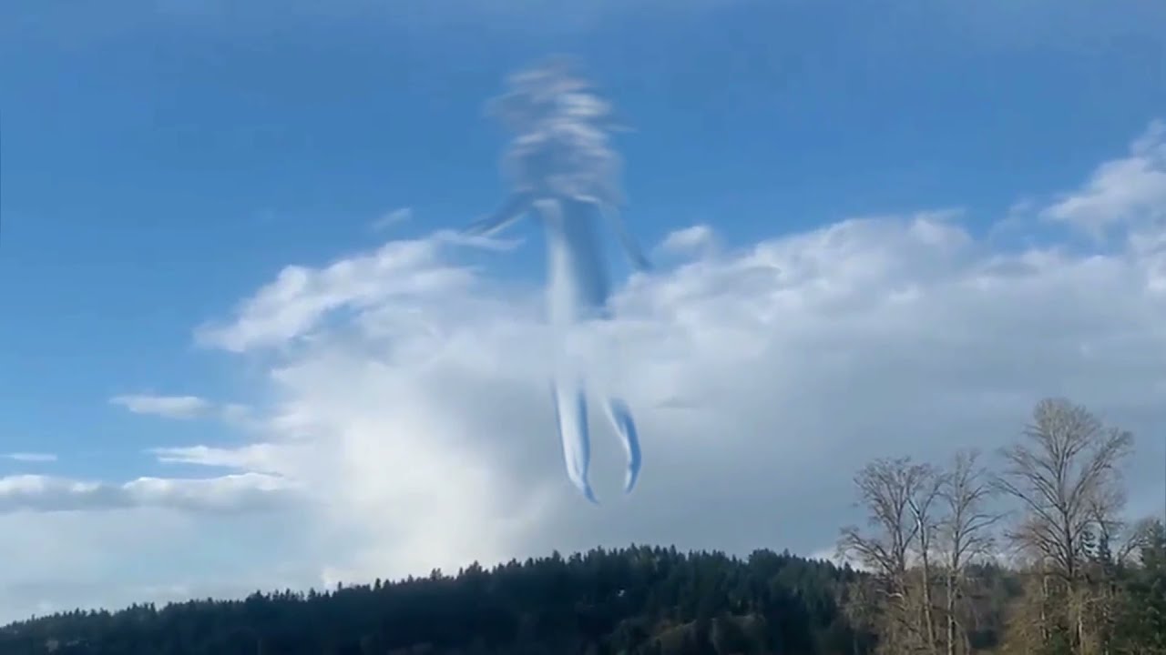 Unidentified creature in the sky - YouTube