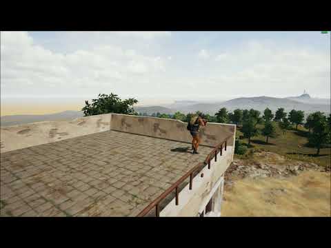 10 kill chicken dinner