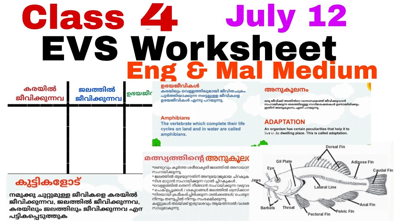 Class 4 EVS Worksheet July 12/4 th std evs worksheet 12/7/21/4 th std ...