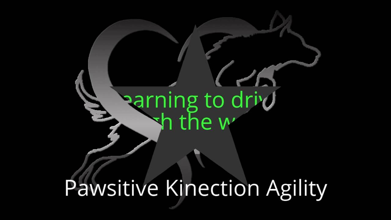 Pawsitive Kinection, We Weave! - YouTube