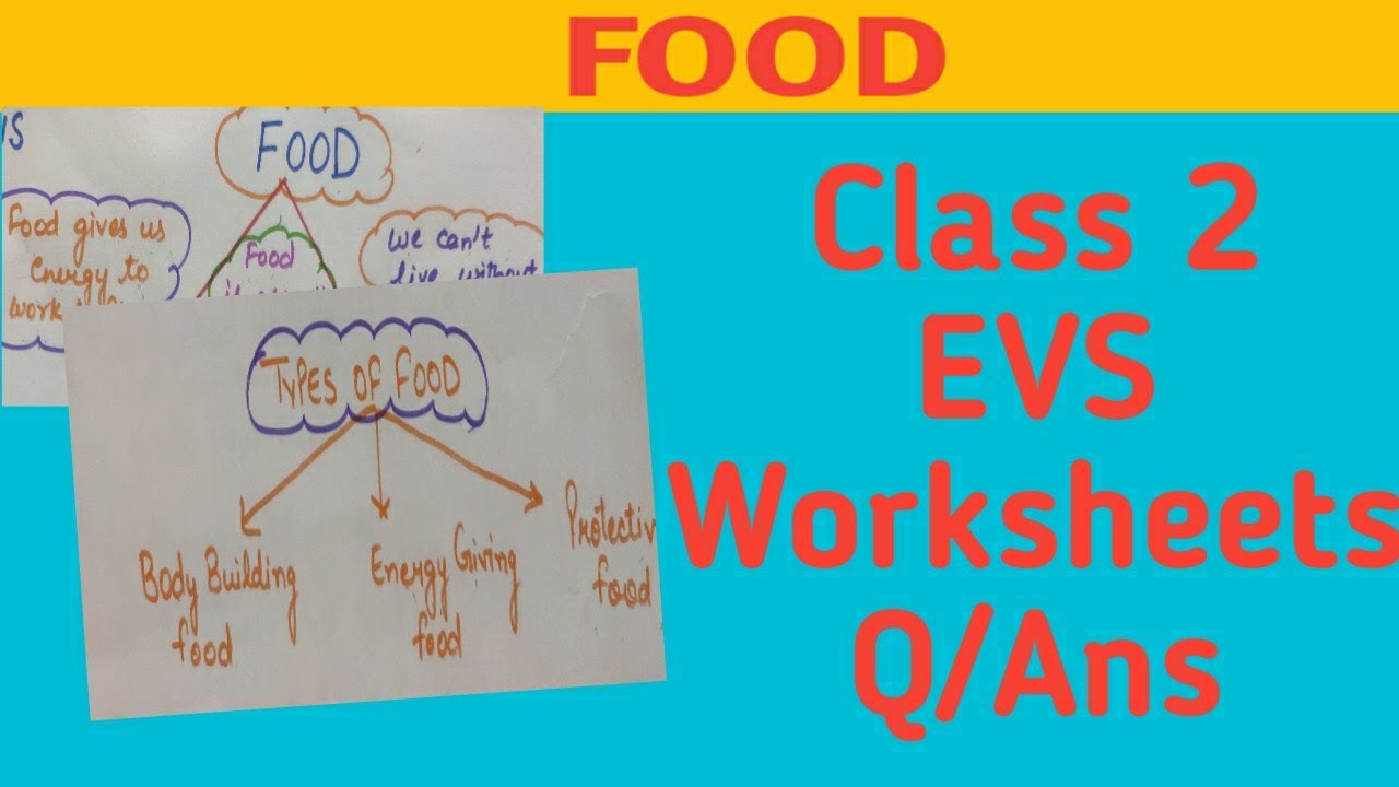 Food || Evs class 2 chapter food||worksheets of food - YouTube