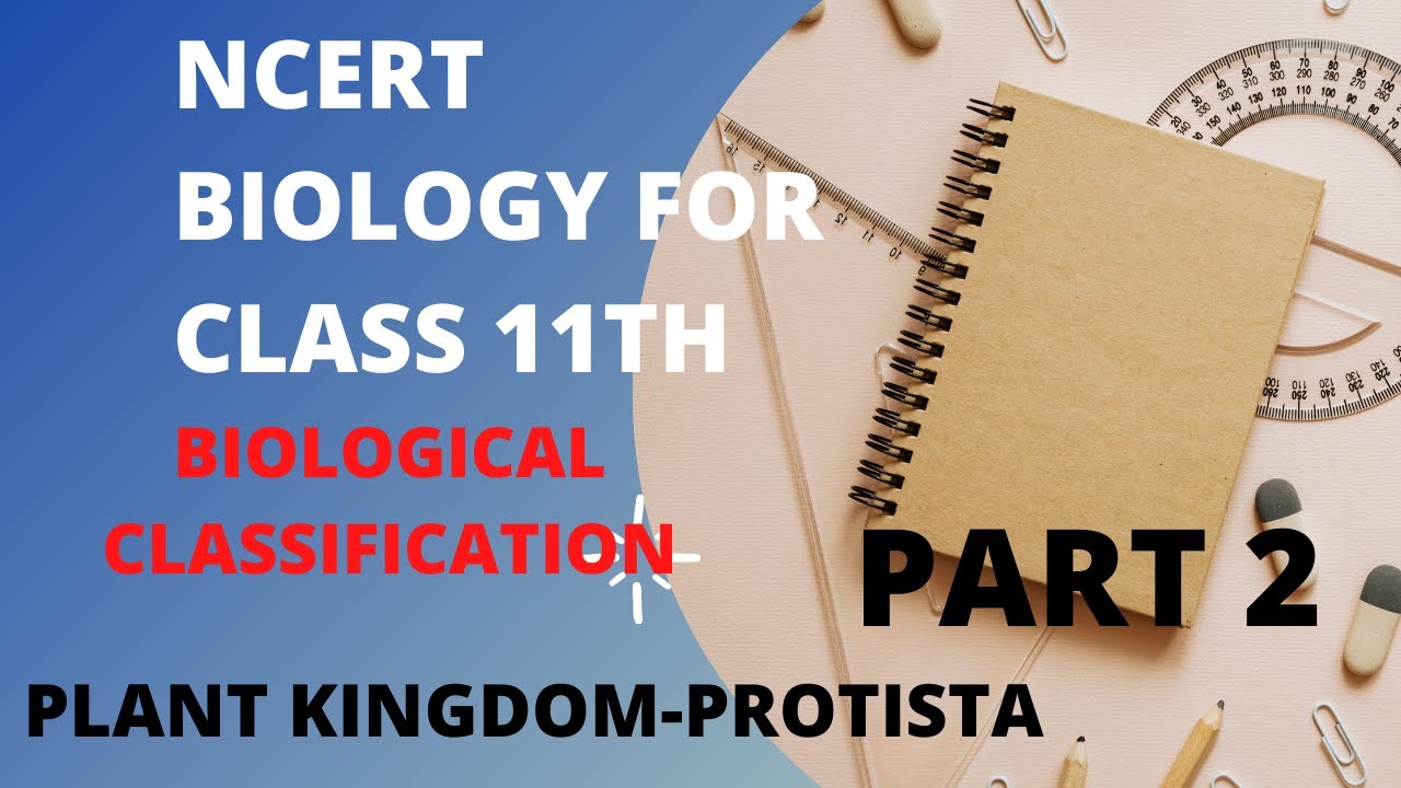 Biological Classification | Protista | NCERT | Class 11th | NEET ...