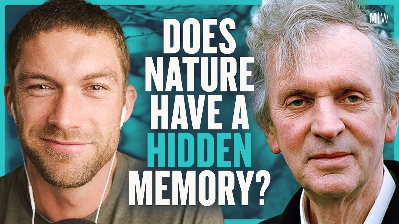 Does Nature Have A Hidden Memory? - Rupert Sheldrake | Modern Wisdom ...