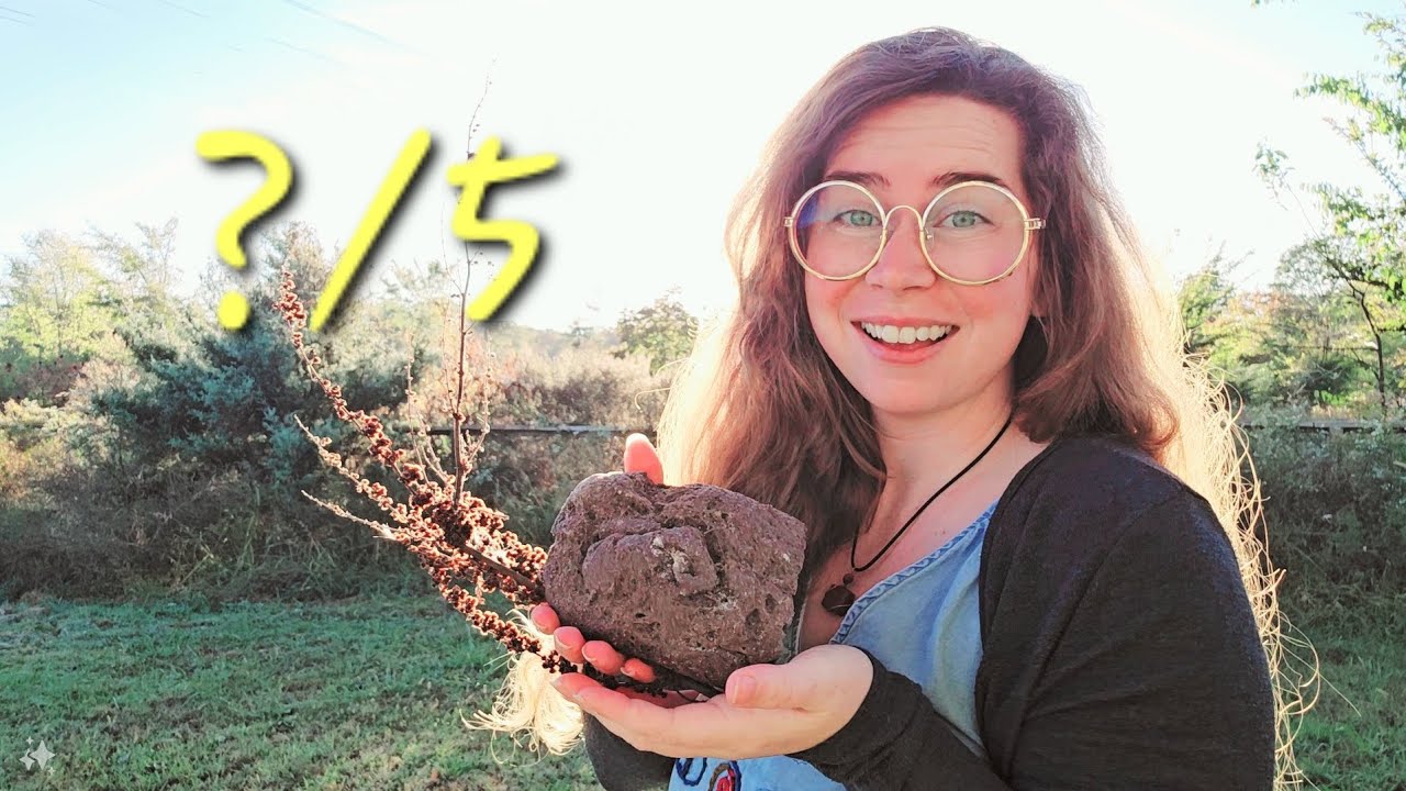 Curly Dock: foraging and trying four recipes - YouTube