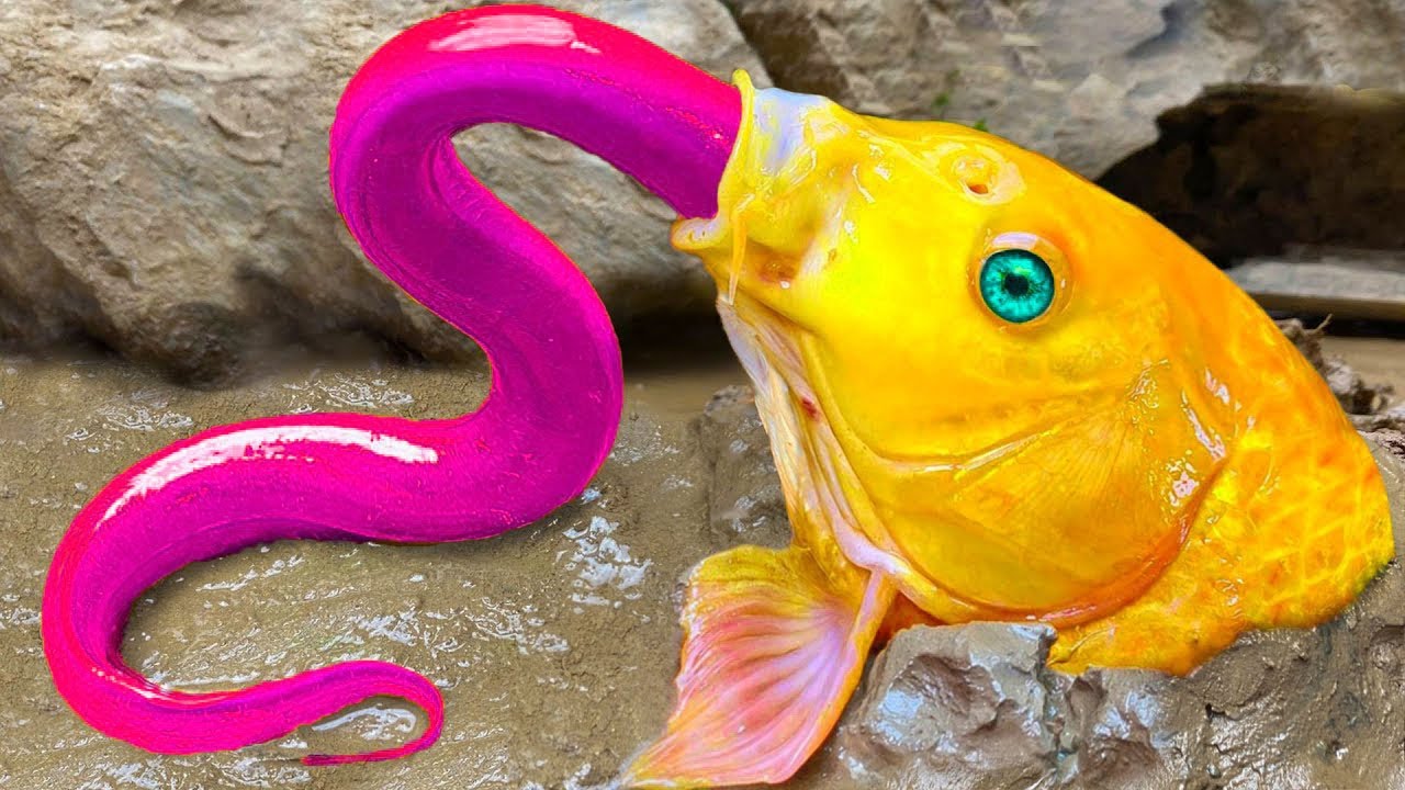 스톱모션 ASMR Colorful Koi Fish Carp & Crocodile, Koi Fish, Catfish, Sea Crab - Animation 다채로운 잉어 연못 ...