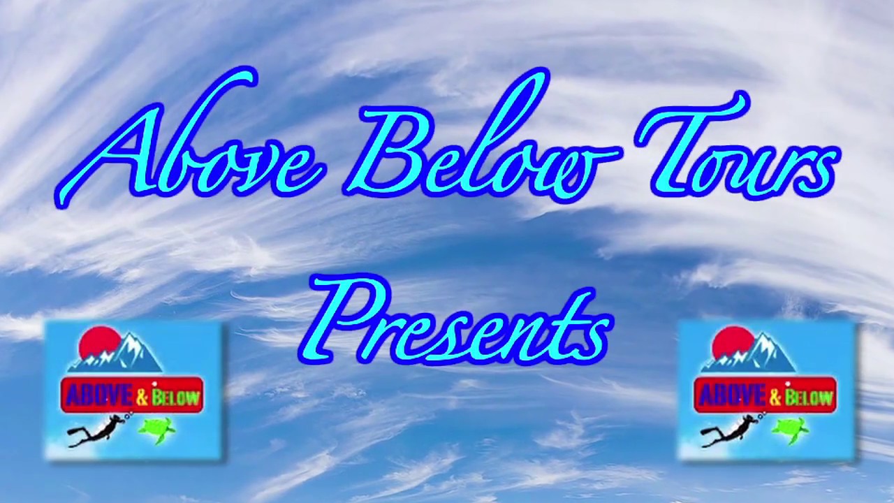 Underwater Disco - YouTube