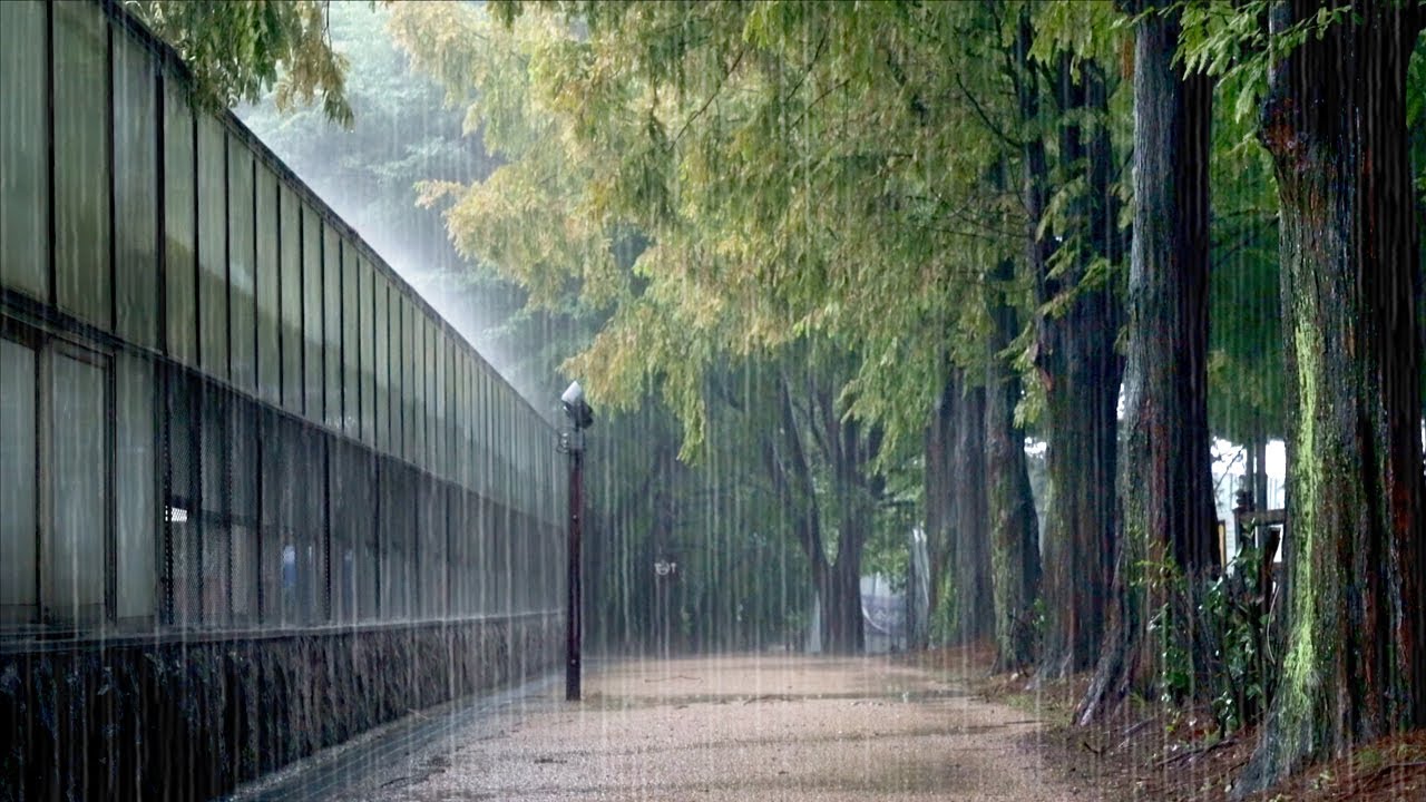 Rain Sounds When You Need Rest and Sleep - Fall Asleep Fast with Rain ...