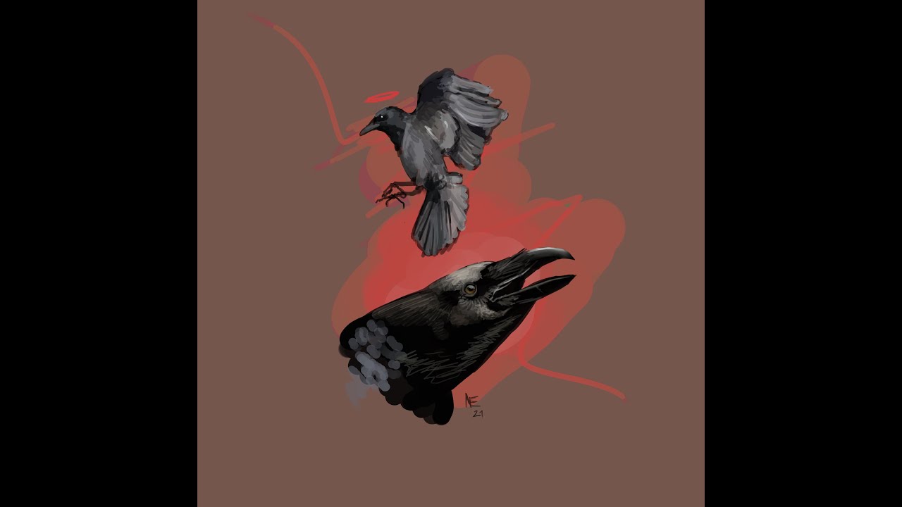 crow speed digital painting - YouTube