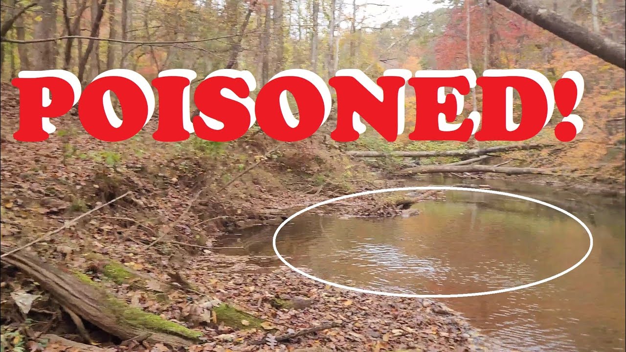 This Georgia creek is full of poison - YouTube