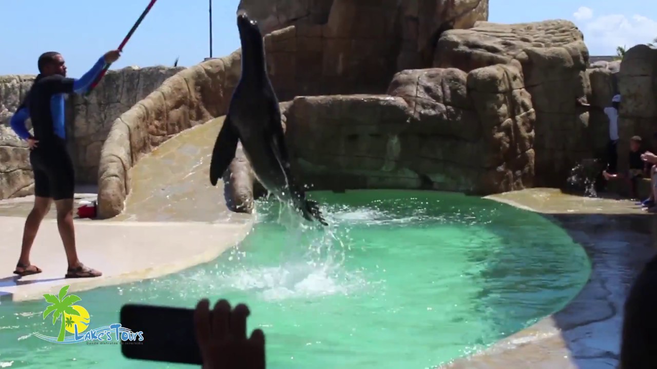 Excursión Ocean World Adventure Park By Lake Tours RD - YouTube