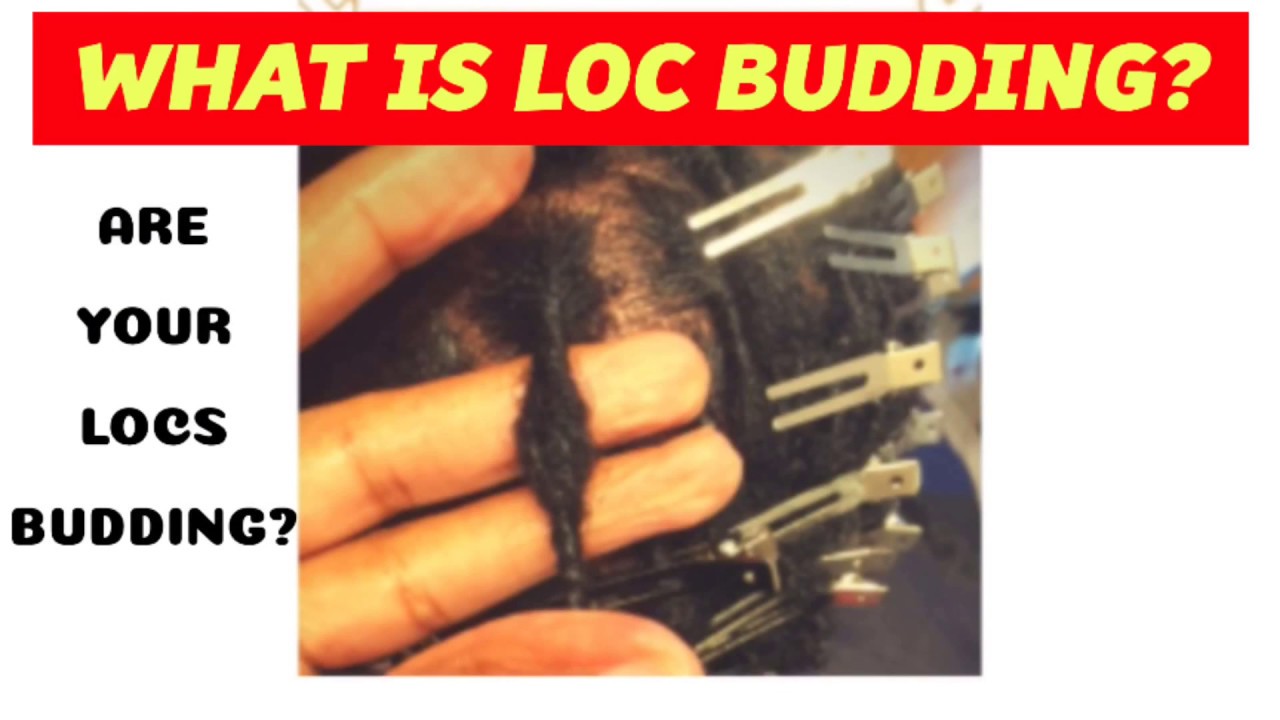 WHAT IS LOC BUDDING? - YouTube
