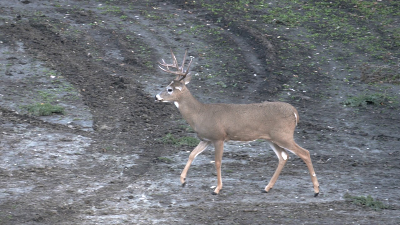 HeadHunters TV - Wyoming Whitetails - Outdoor Channel - YouTube
