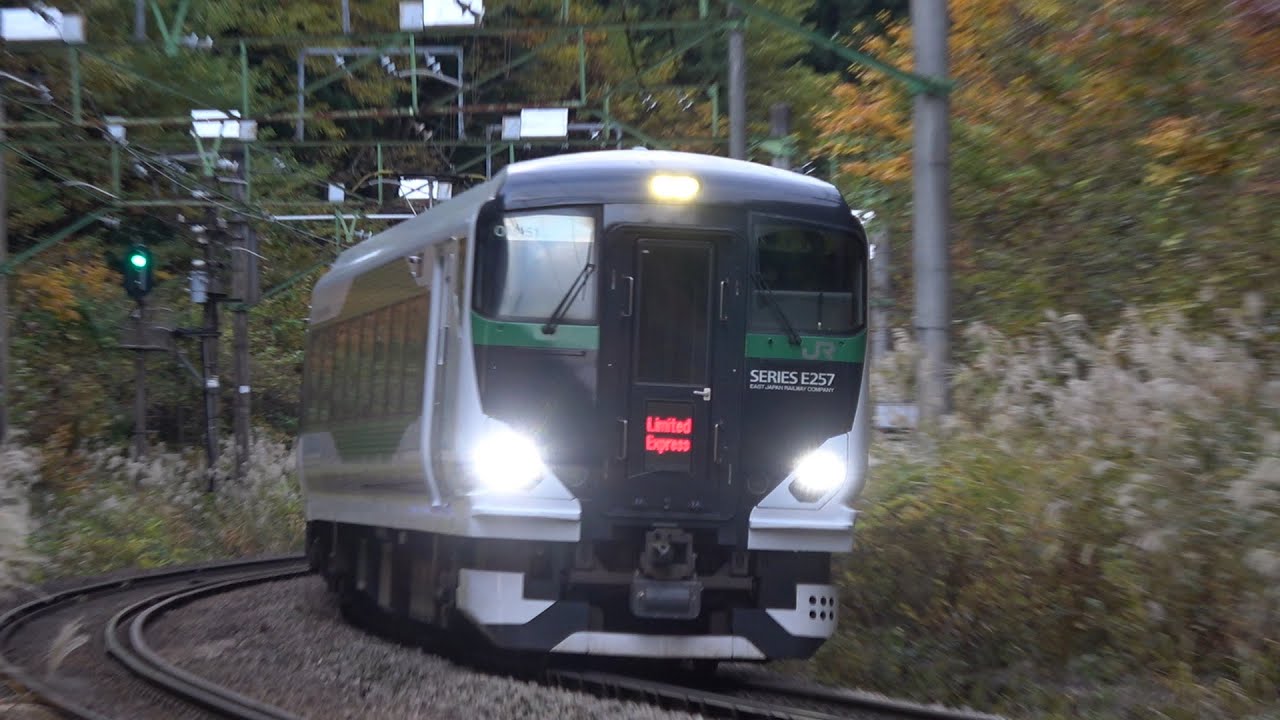 上越線 E257系5500番台OM-51編成 臨時特急谷川岳ループ 岩原スキー場前→越後中里にて /Japanese Train E257Series - YouTube