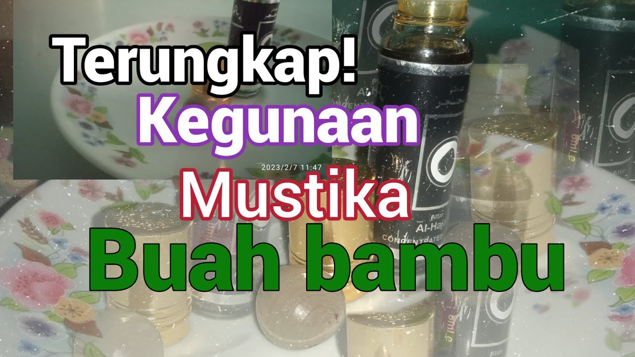 Ini rupanya mustika buah bambu yang jarang di ketahui#mustika # ...