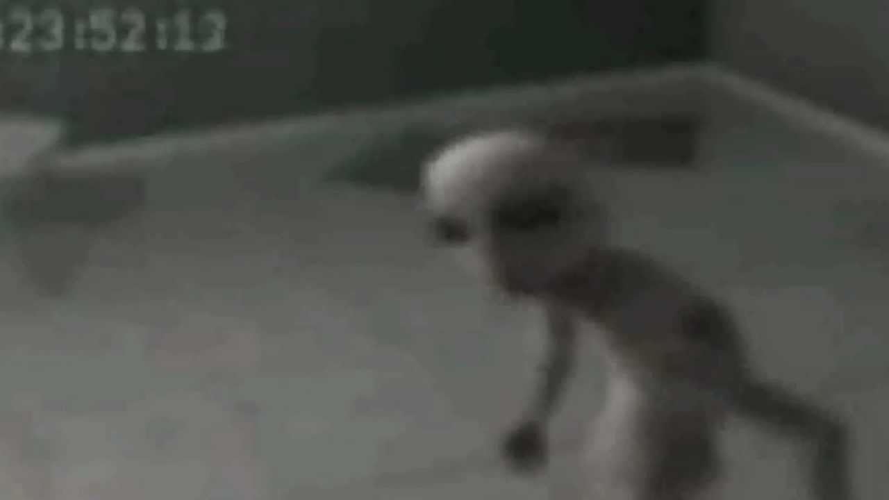 Penampakan Alien Nyata | Video CCTV Alien Asli di Bumi - YouTube
