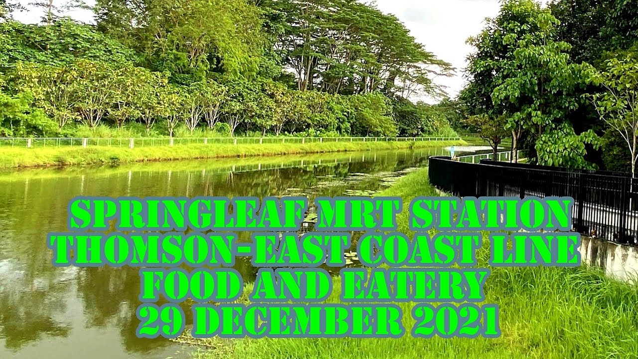 Springleaf MRT station | Thomson-East Coast Line | Food and eatery | 29 ...