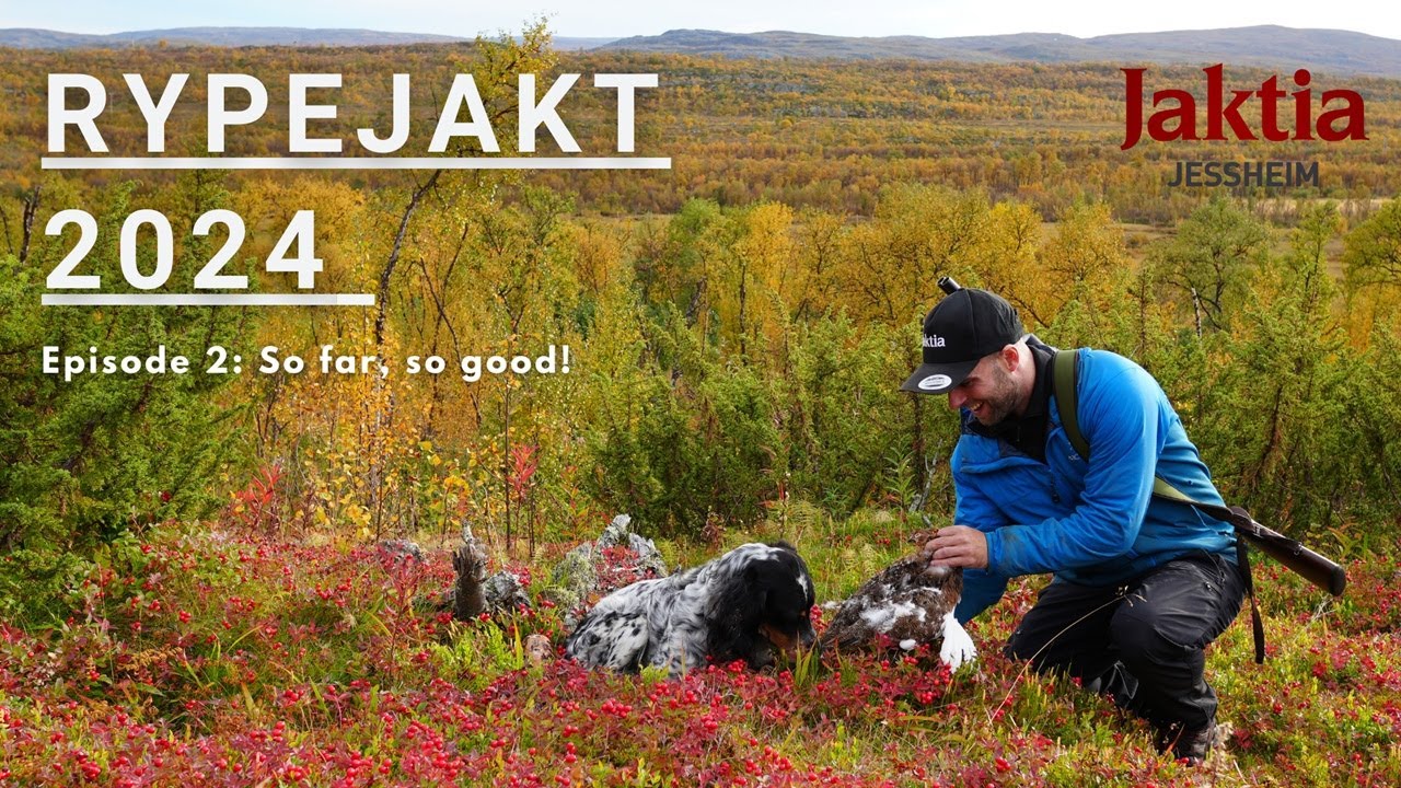 Rypejakt i Finnmark 2024 - Episode 2 - YouTube