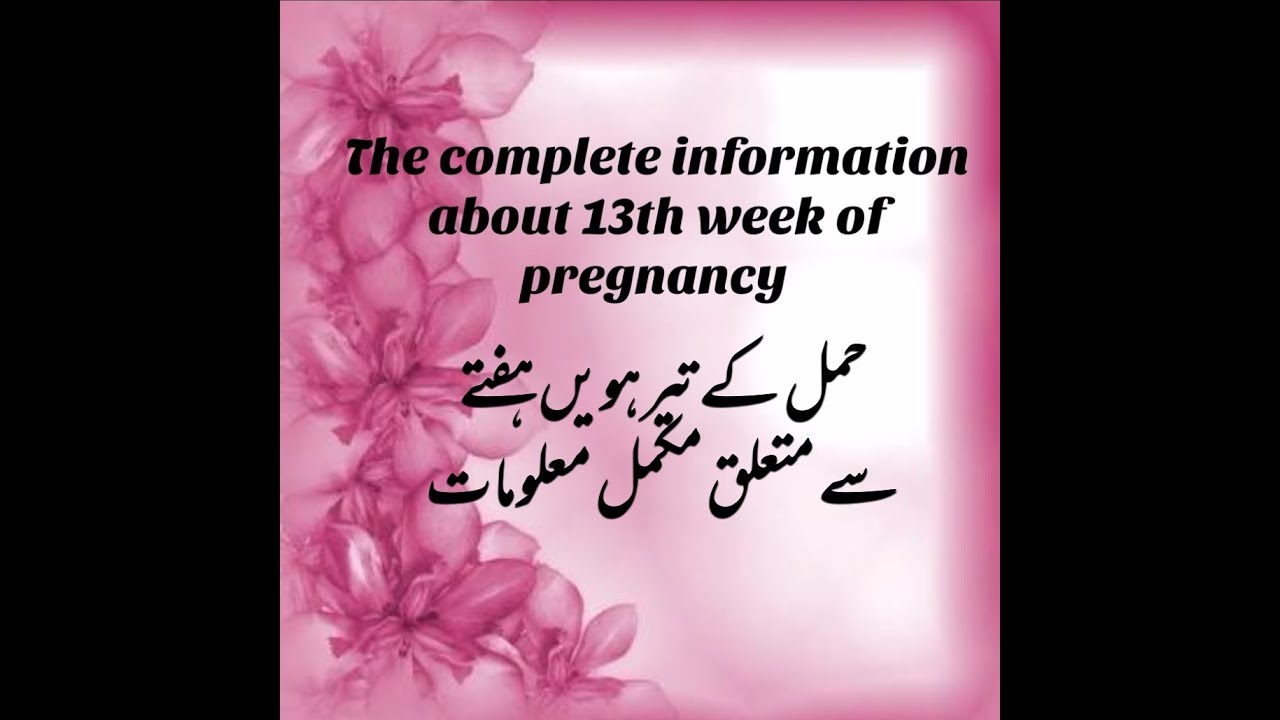 The complete information about 13th week of pregnancy ||development n ...
