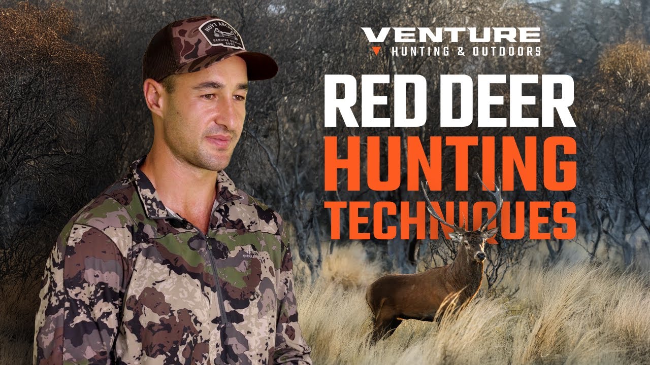 Red Deer Rut/Roar Hunting Tactics with Twin Elements - YouTube