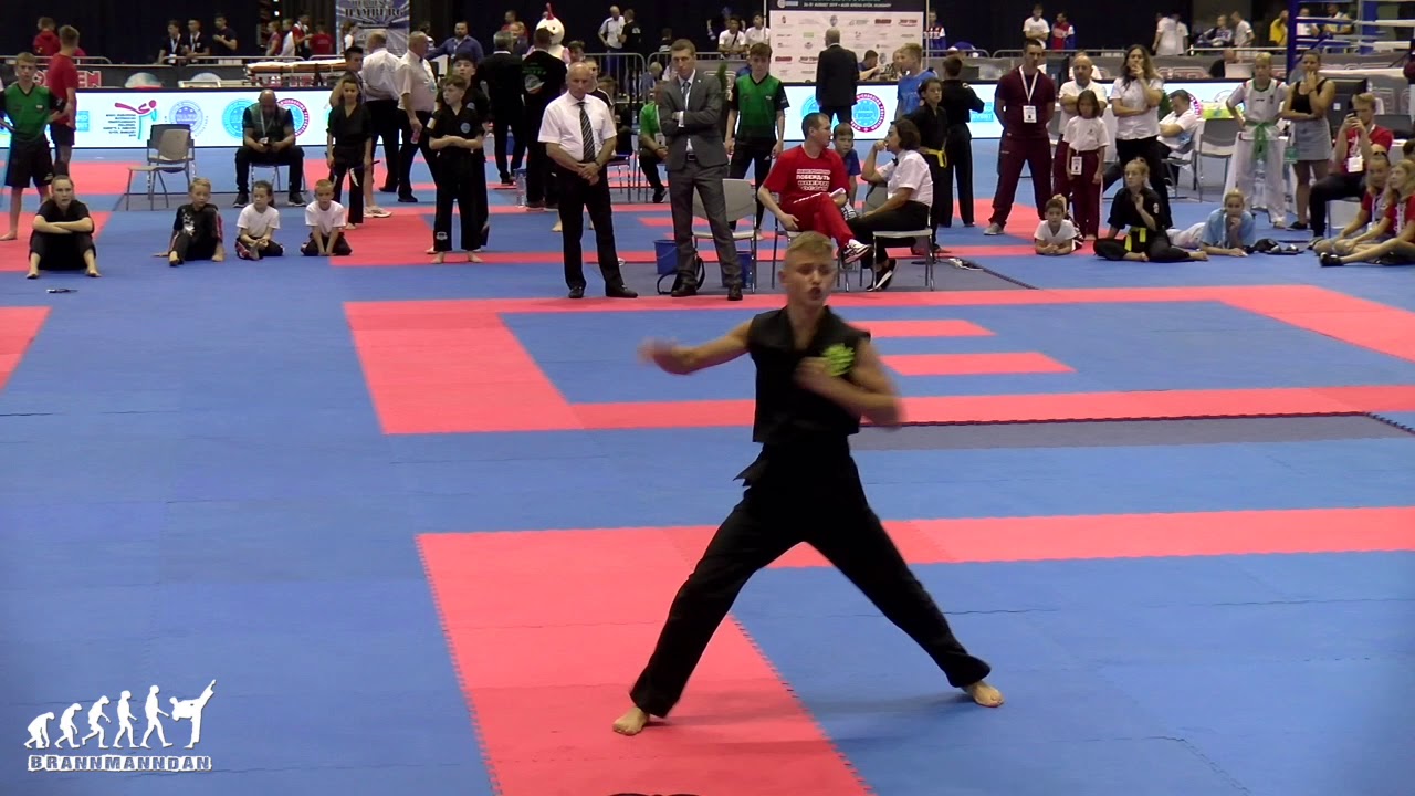 Dmytro Ponomarenko Musical Forms WAKO European Championships 2019 - YouTube