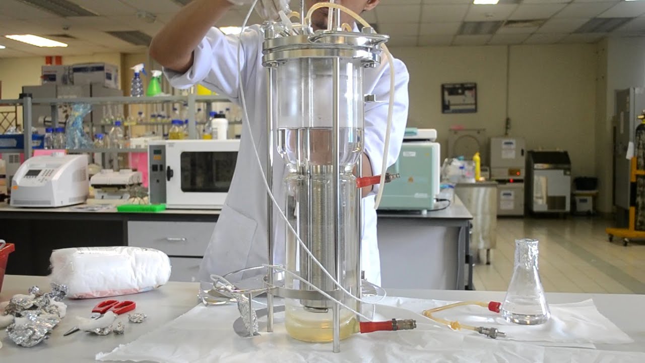 Culturing Microalgae in Photobioreactor - YouTube