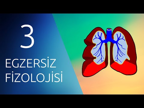EGZERSİZ FİZYOLOJİSİ #3 #Solunum ve #Egzersiz