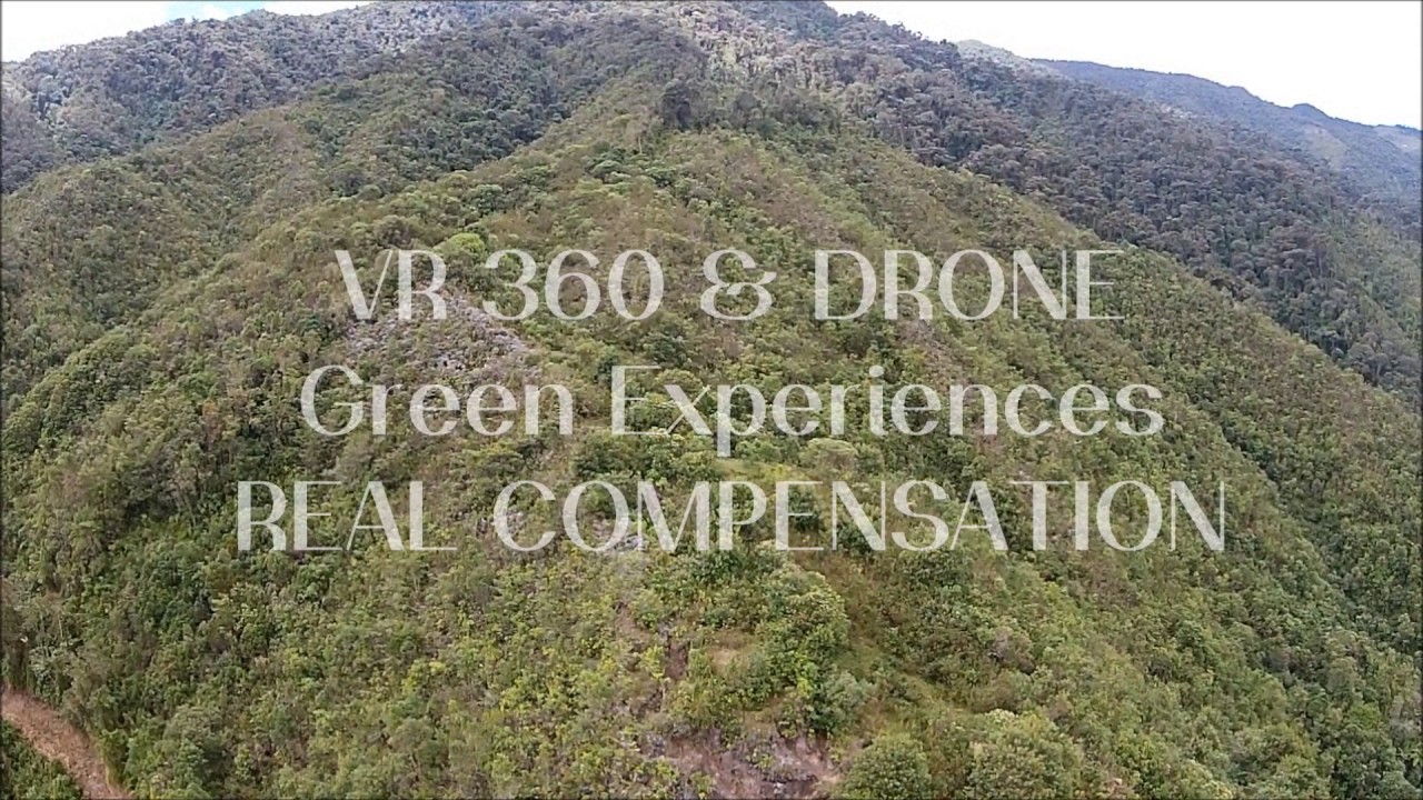 GREENRUNNERS Reforestation - Environmental Corridor Pearl of the East ...