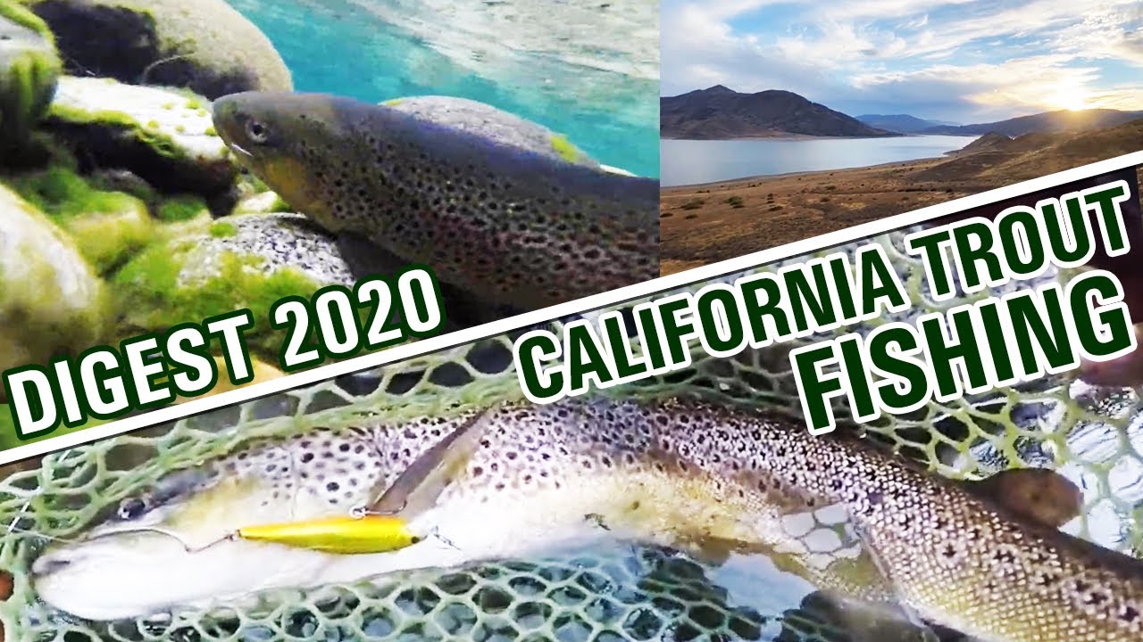 【BFS Trout Fishing】 2020 BFS Trout Fishing Digest - YouTube