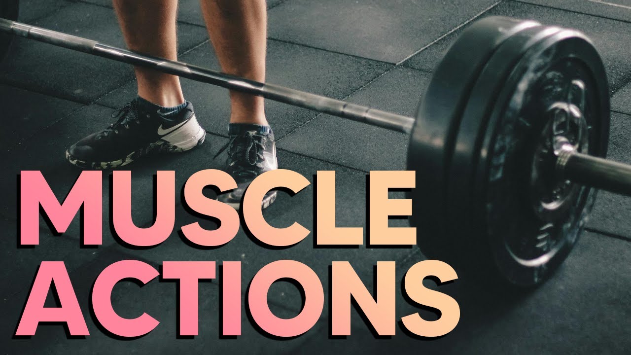 A Trick for Determining Muscle Actions - YouTube