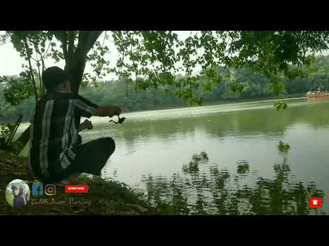 Babeh kembali kejalurnya, Mancing Nila Lobang lagi