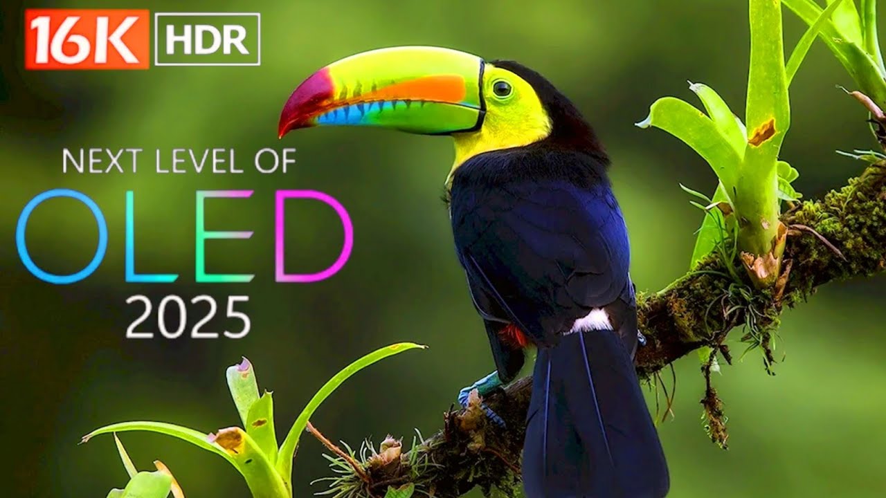 ONLY REAL OLED | 16K Video ULTRA HD | Dolby Vision 16K HDR - YouTube