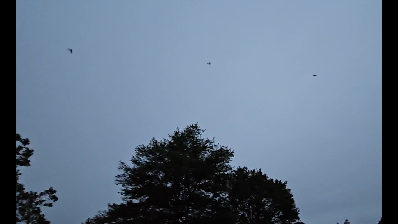 Swoop! There It Is - YouTube