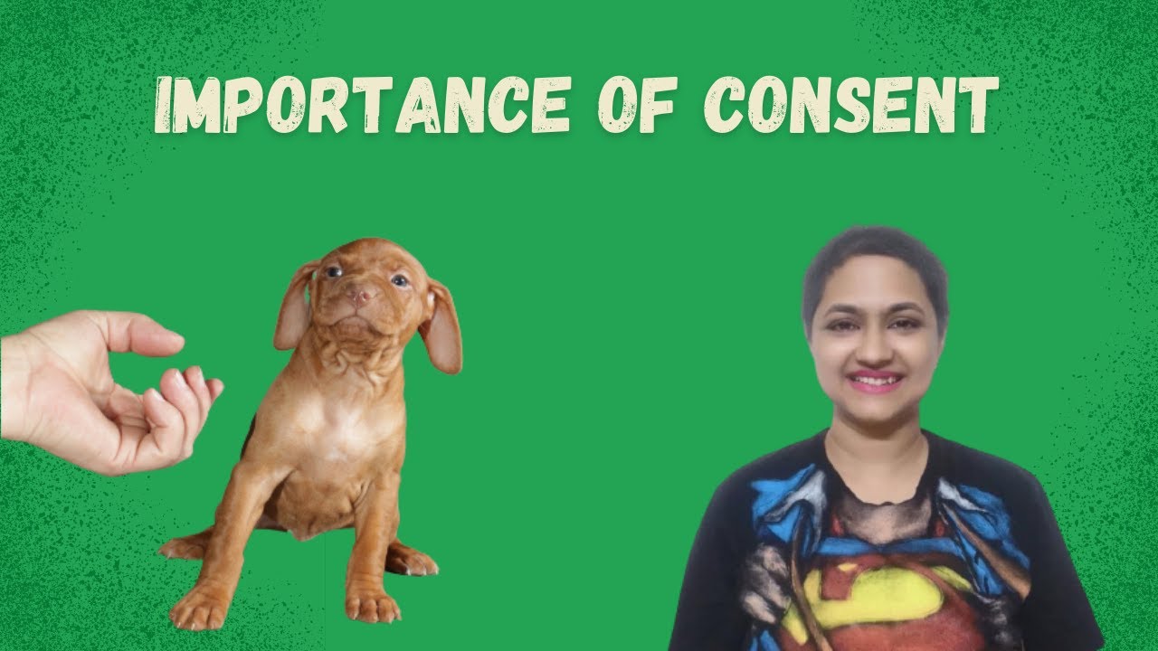 Animal Communication Basics: Importance of Consent - YouTube
