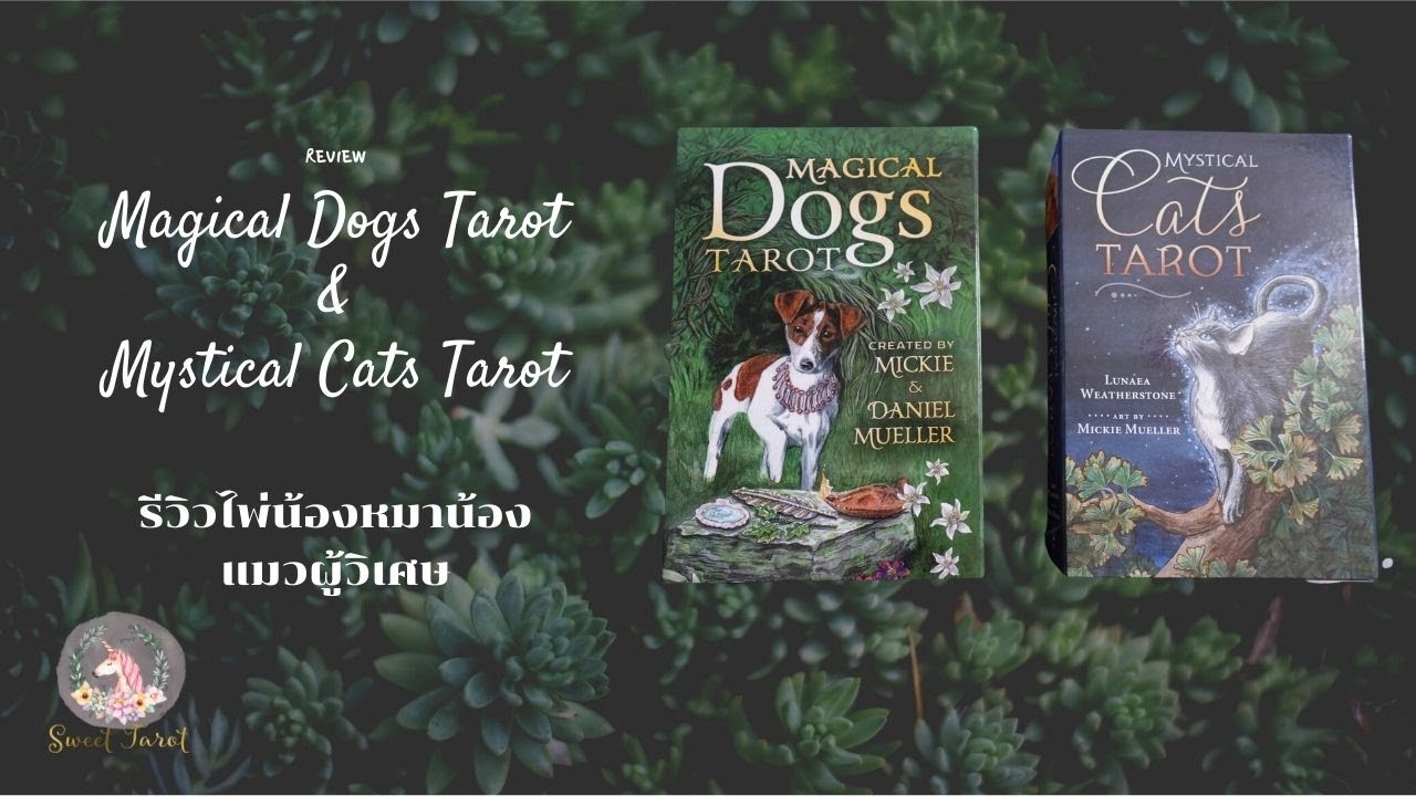 รีวิวไพ่ Magical Dogs Tarot & Mystical Cats Tarot สำหรับคนรักน้องหมา ...