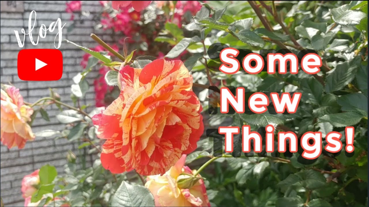 Some new things! - YouTube
