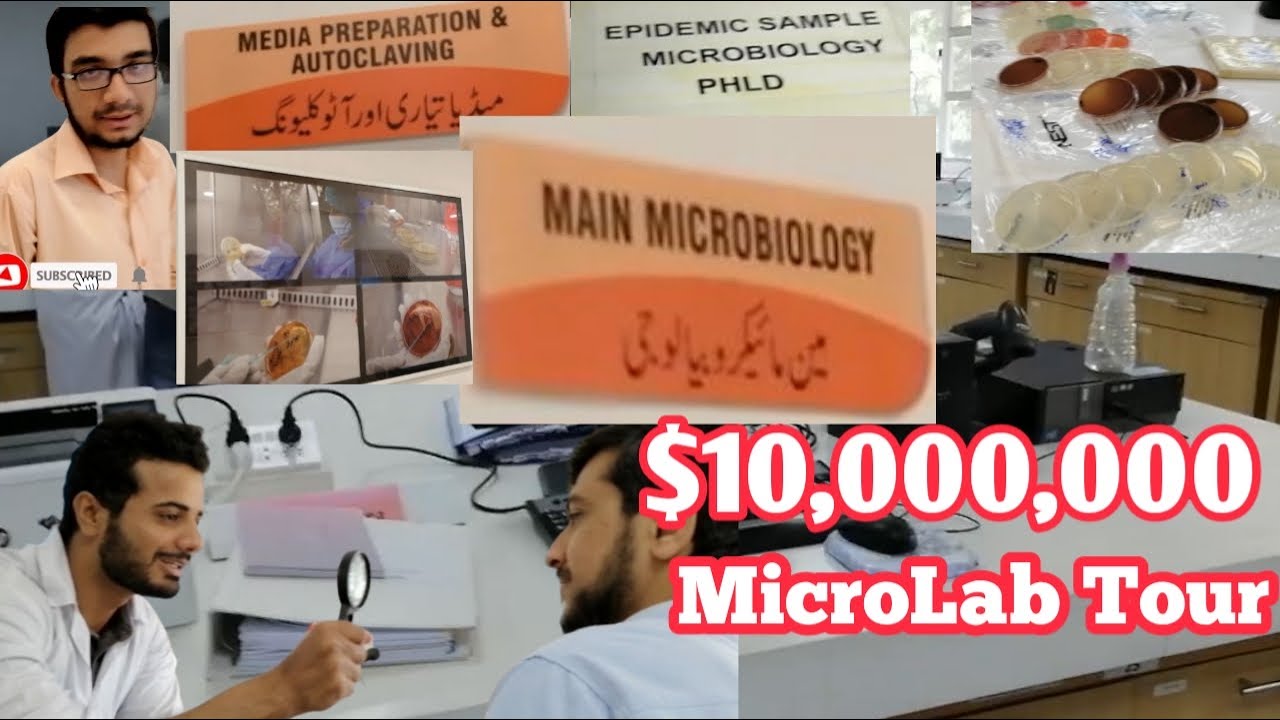 Microbiology Laboratory Tour | Fully Automated Machines - YouTube