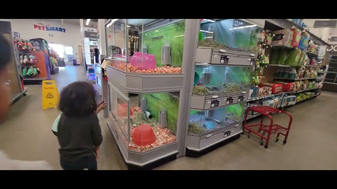 🐕 Angelina goes to Pet Smart ! to look for a fish 🐟 - YouTube
