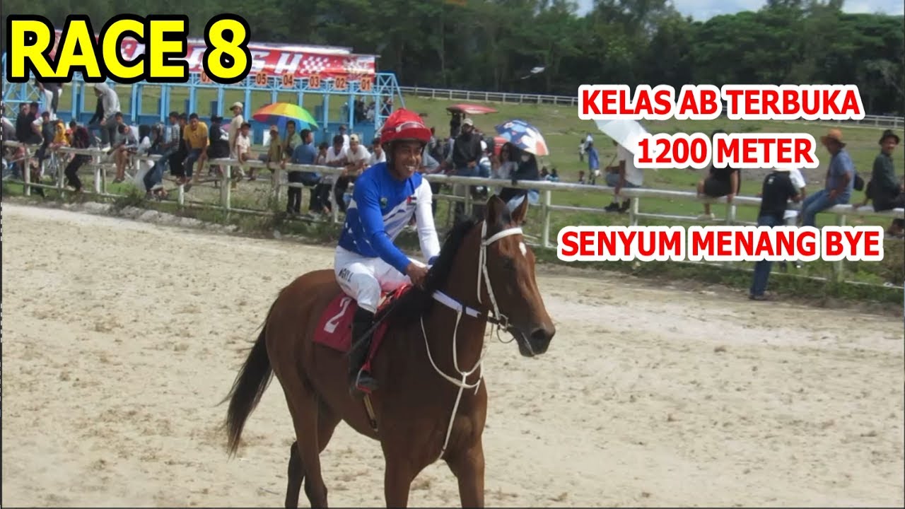 RACE 8 || KELAS AB TERBUKA - PACU KUDA SAWAHLUNTO DERBY 2024 - YouTube