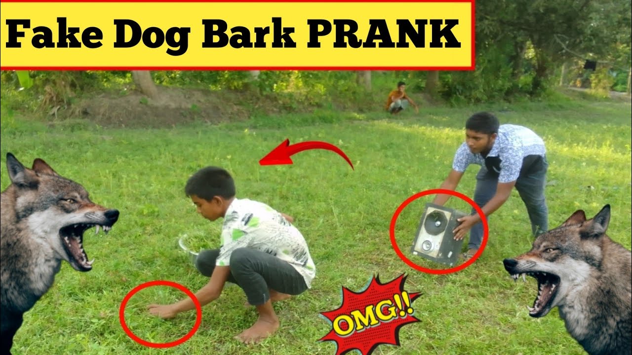 Fake Dog Bark Prank on Public || So Funny Reaction in Public - Dog ...
