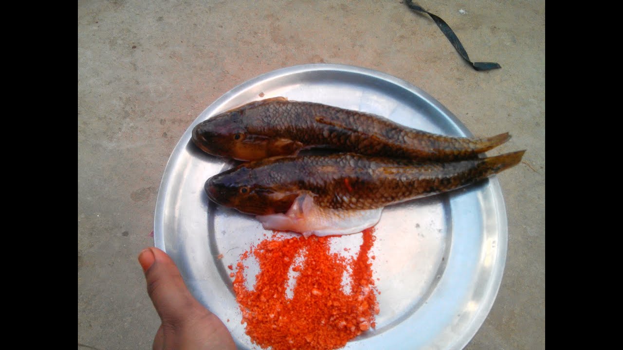 Cooking Murrel Fish Fry in My Village | VILLAGE FOOD - YouTube