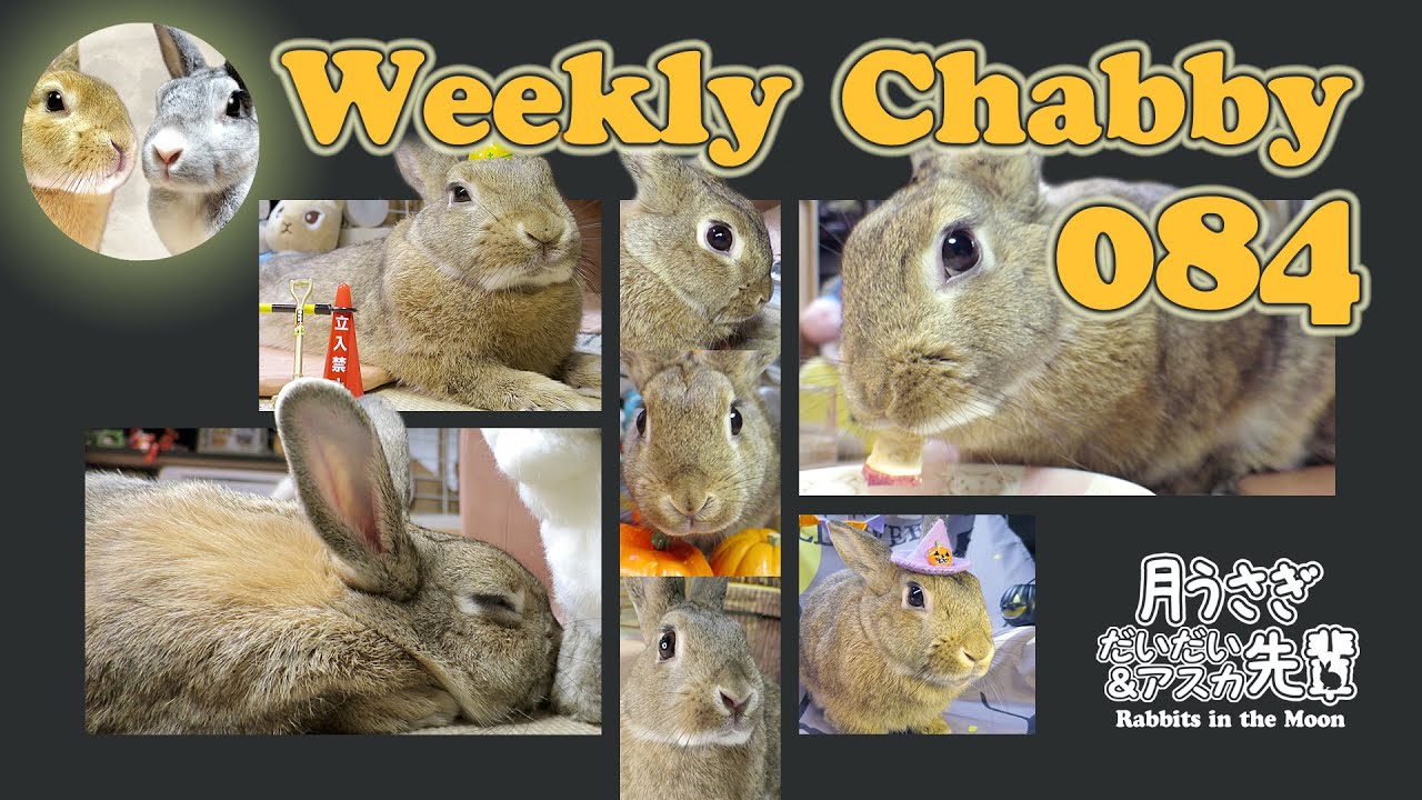 Weekly Chabby 084 - YouTube