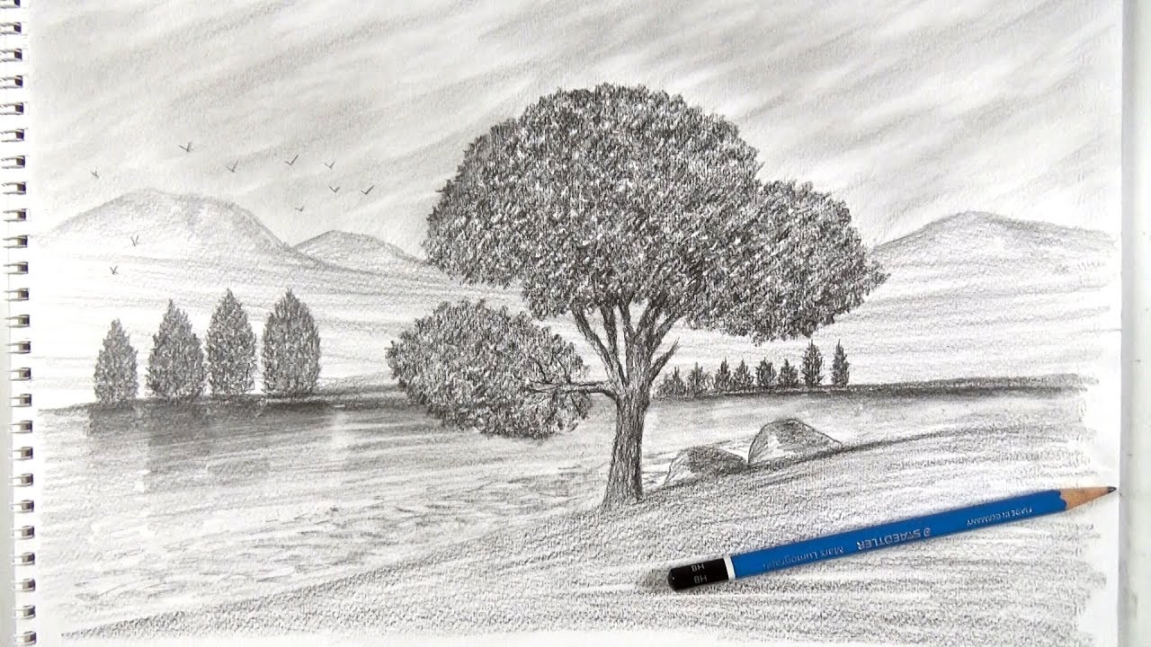 How to draw and shade a tree In a beautiful landscape with pencil - YouTube