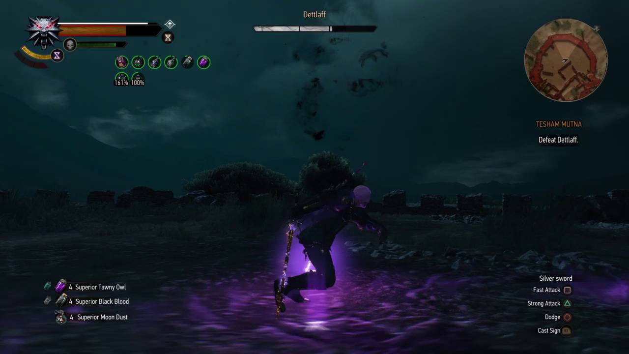 The Witcher 3: Wild Hunt Detlaff Final Boss Battle - YouTube