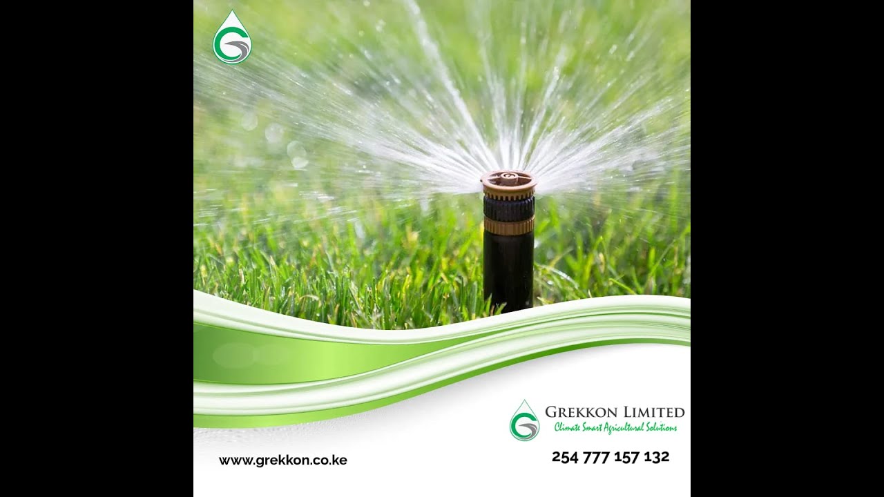 Lawn sprinklers in Kenya by Grekkon Limited are installed to irrigate ...