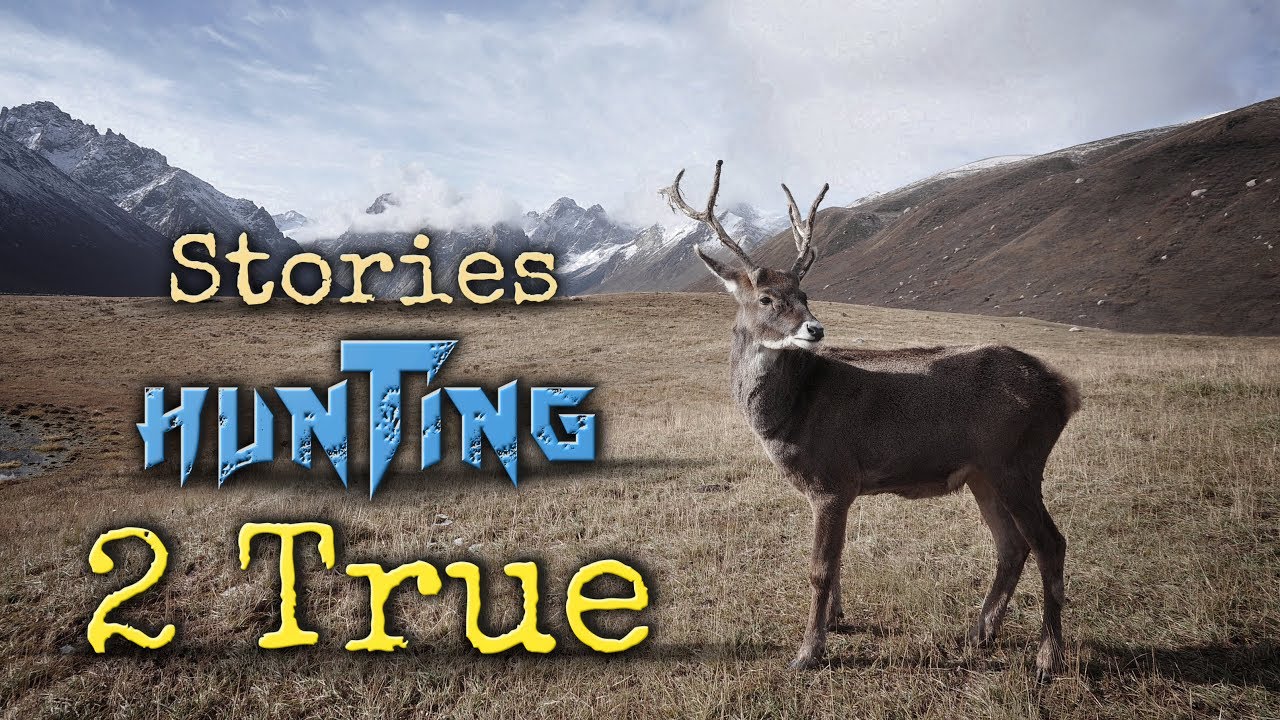 2 TRUE & SCARY HUNTING STORIES | Odd Occurrences While Hunting in ...