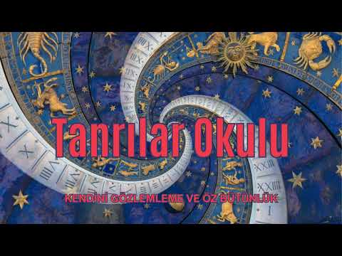 Tanrılar Okulu: Gerçekliğini Yaratma Sanatı | Stefano D’Anna’nın Bilgelik Mesajı